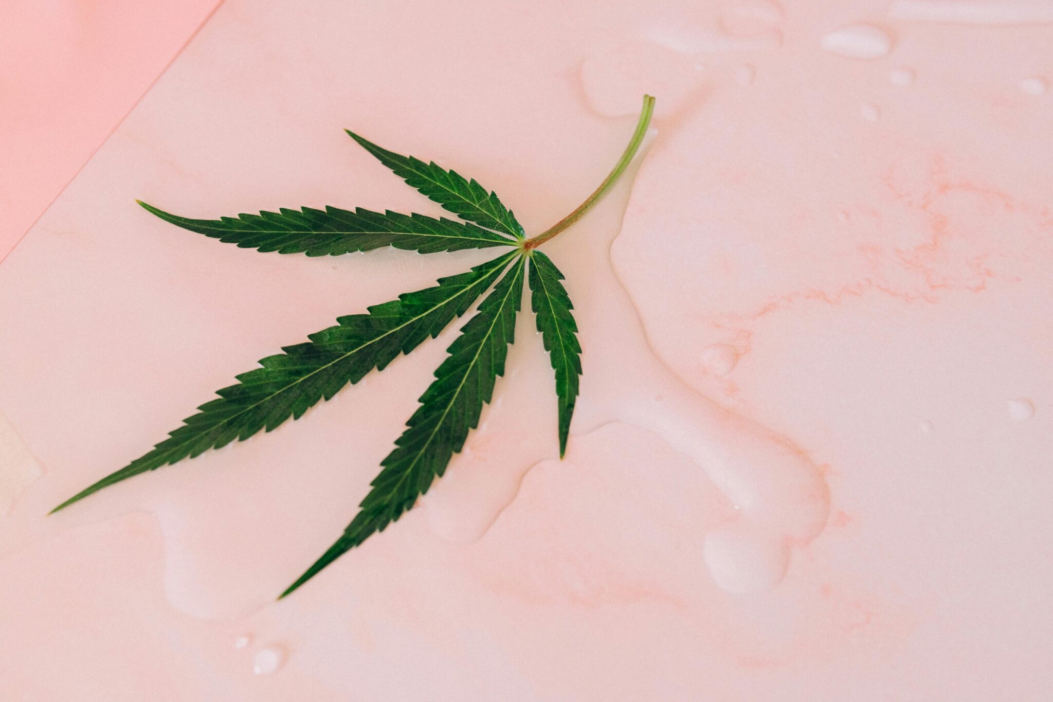 What Is the Active Ingredient in Marijuana? - Renew Health